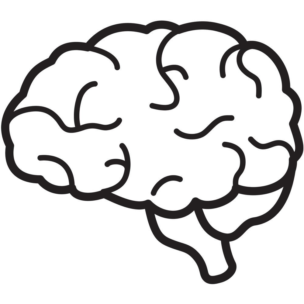 Brain PNG Brain PNG