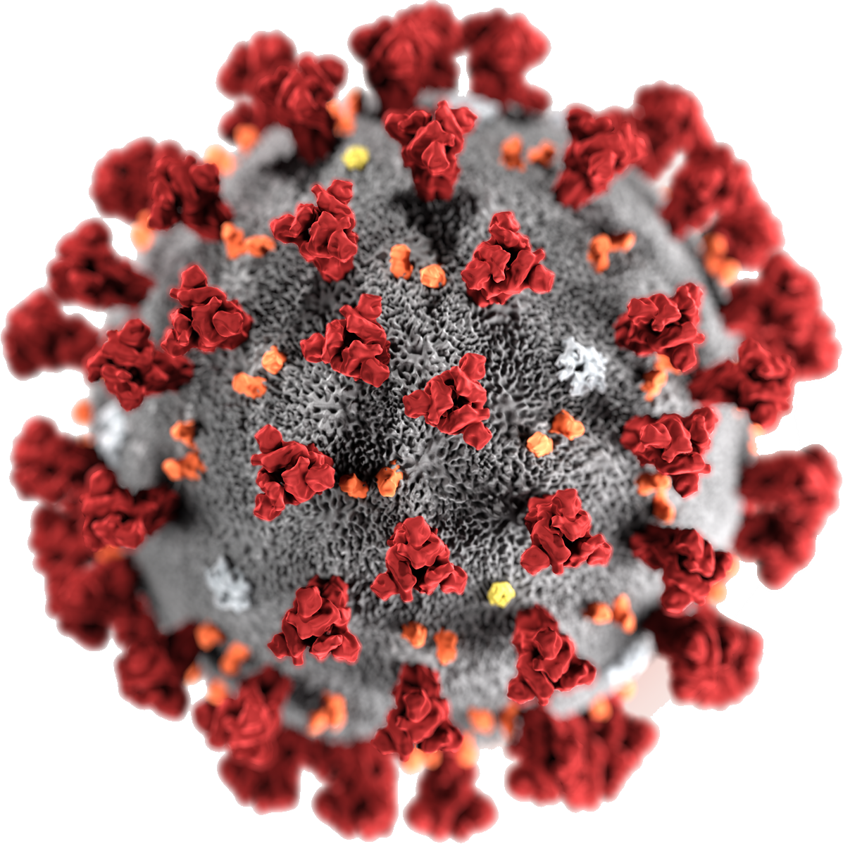 Coronavirus PNG