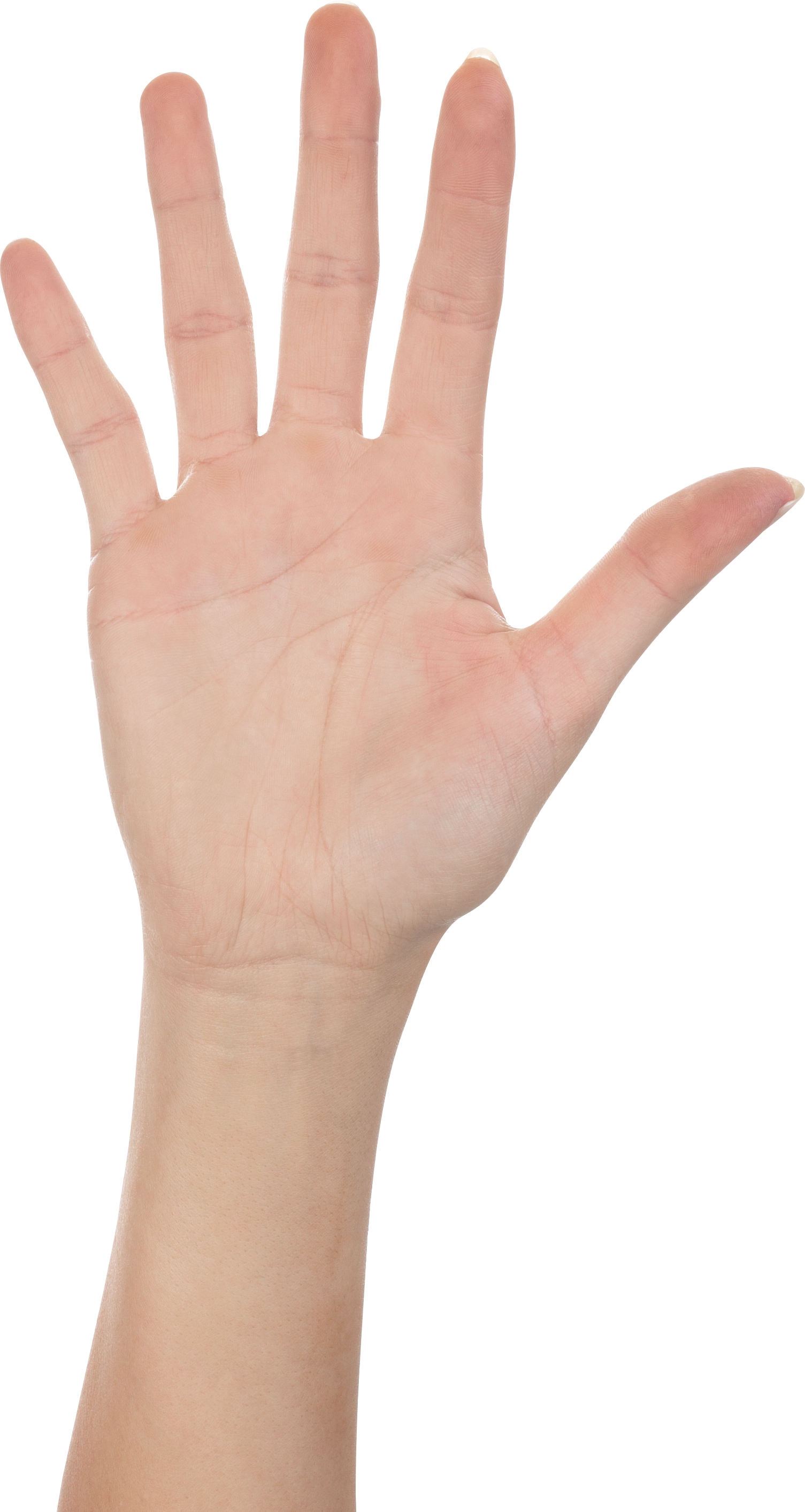 Hands PNG Hand Image Free