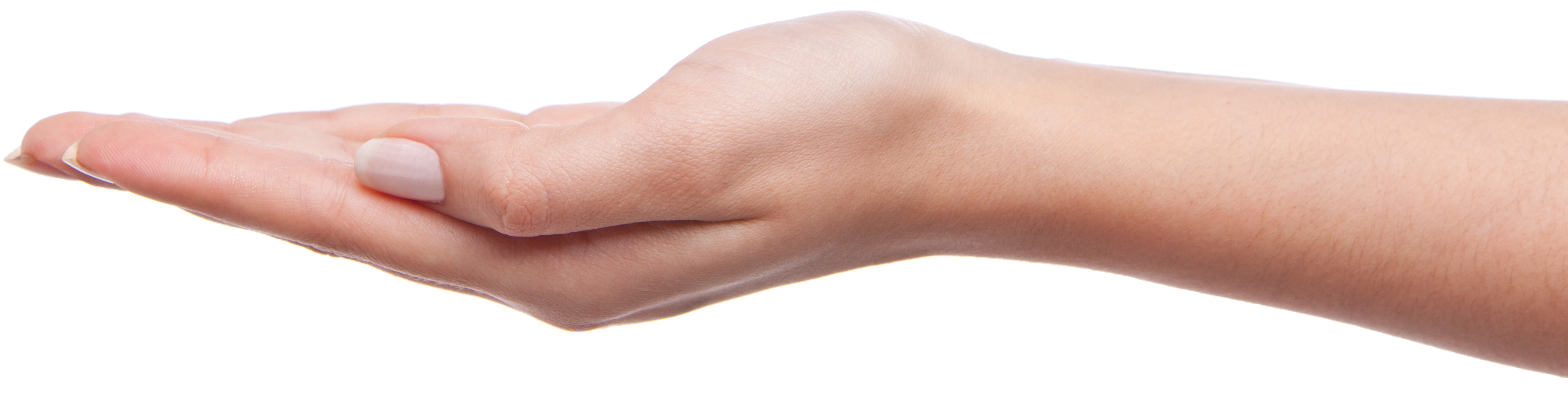 Palm Hands PNG Hand Image Free