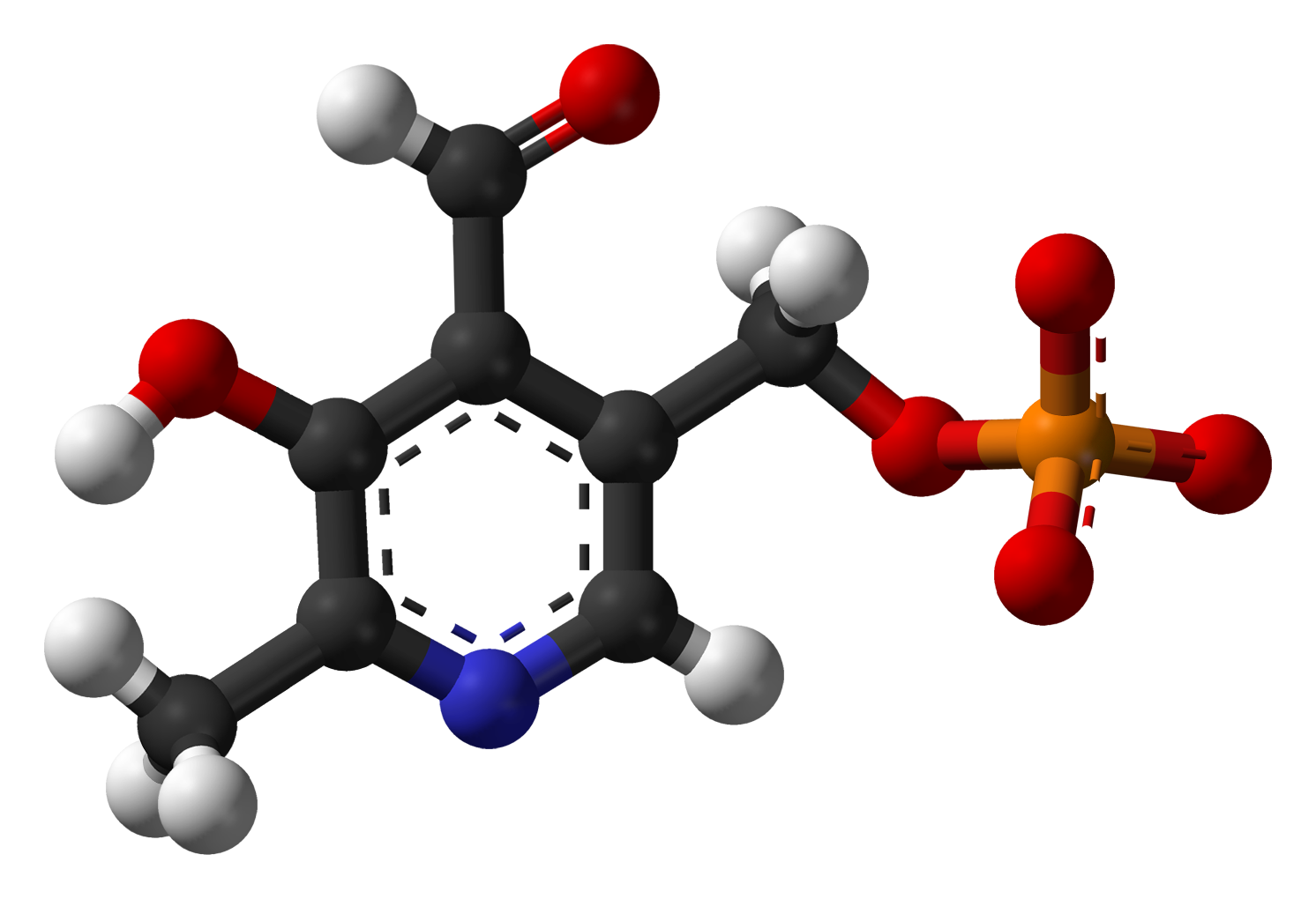 Molecule PNG Molecule PNG