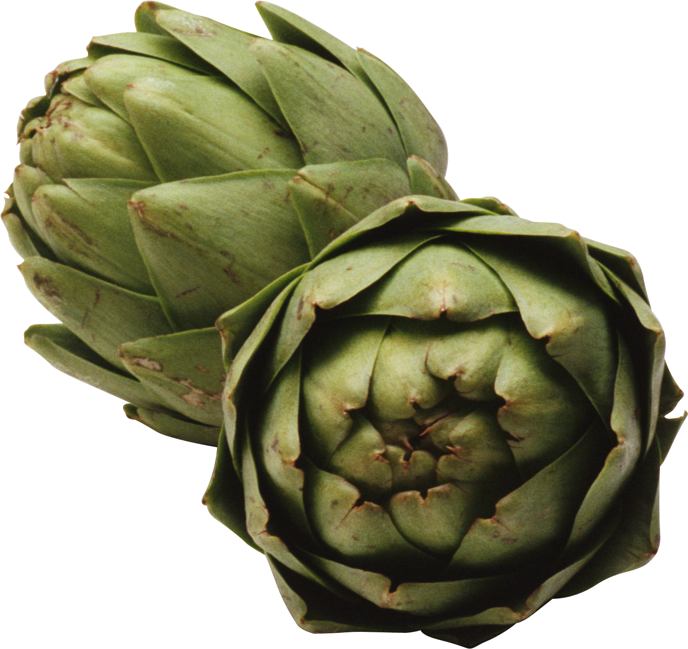 Artichoke PNG