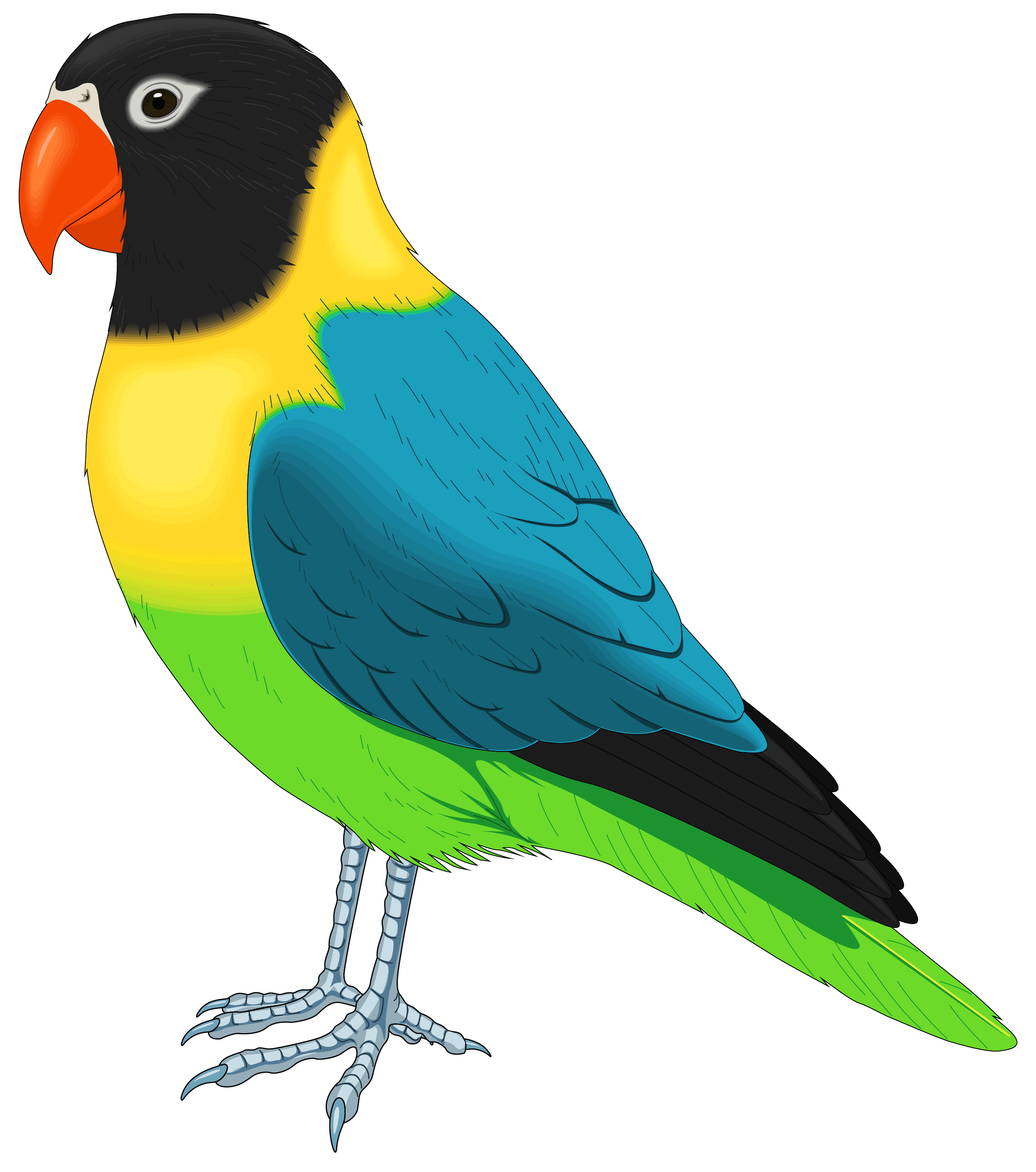 PNG PNG