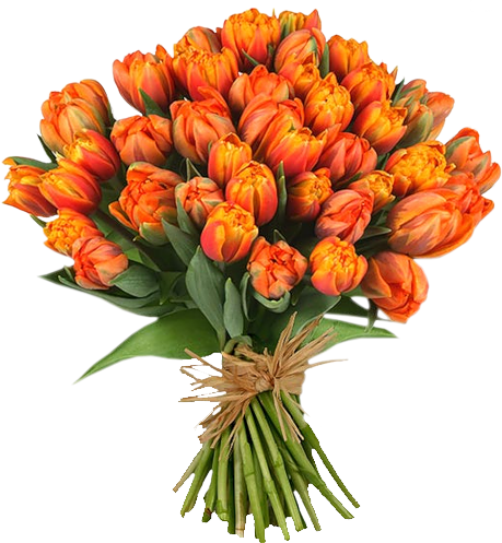 Bouquet Flowers PNG