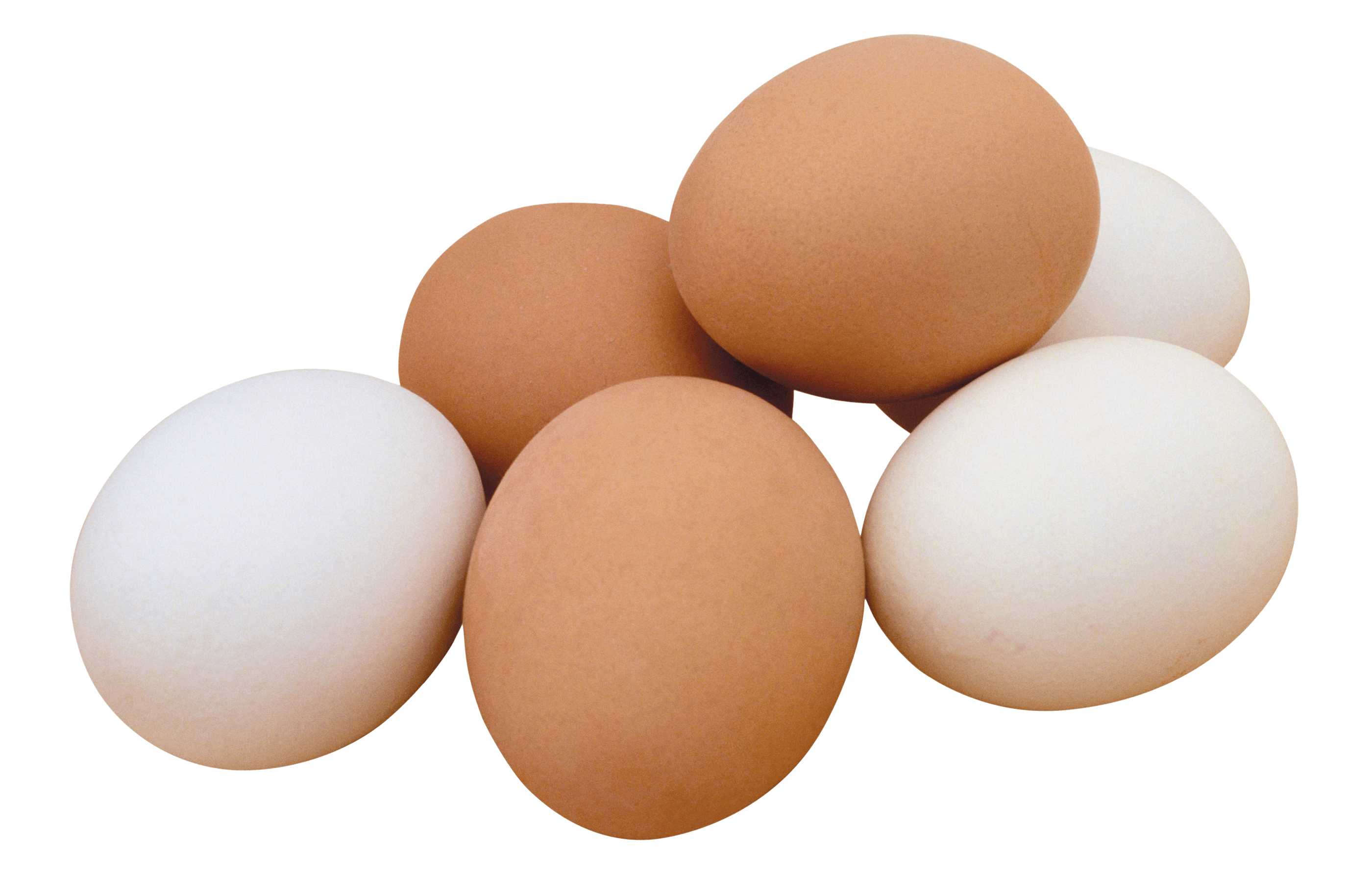 Egg PNG Transparent Image Download Size 2800x1782px