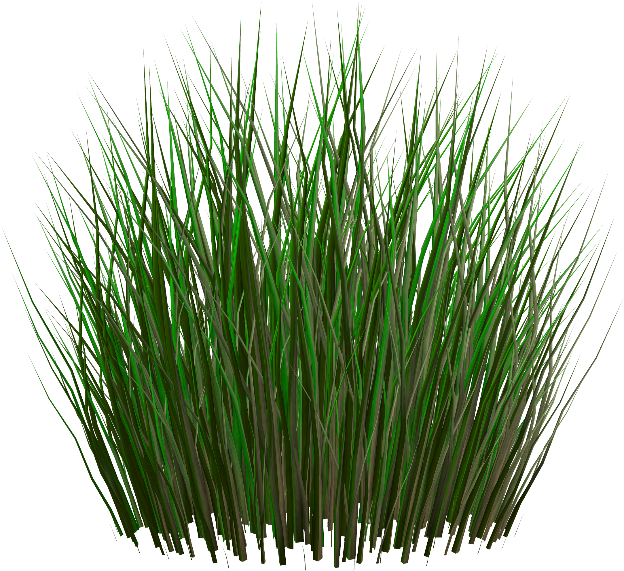 grass png image, green grass PNG picture