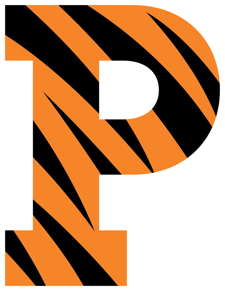  P PNG