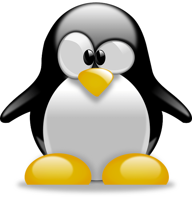 Linux Logo PNG