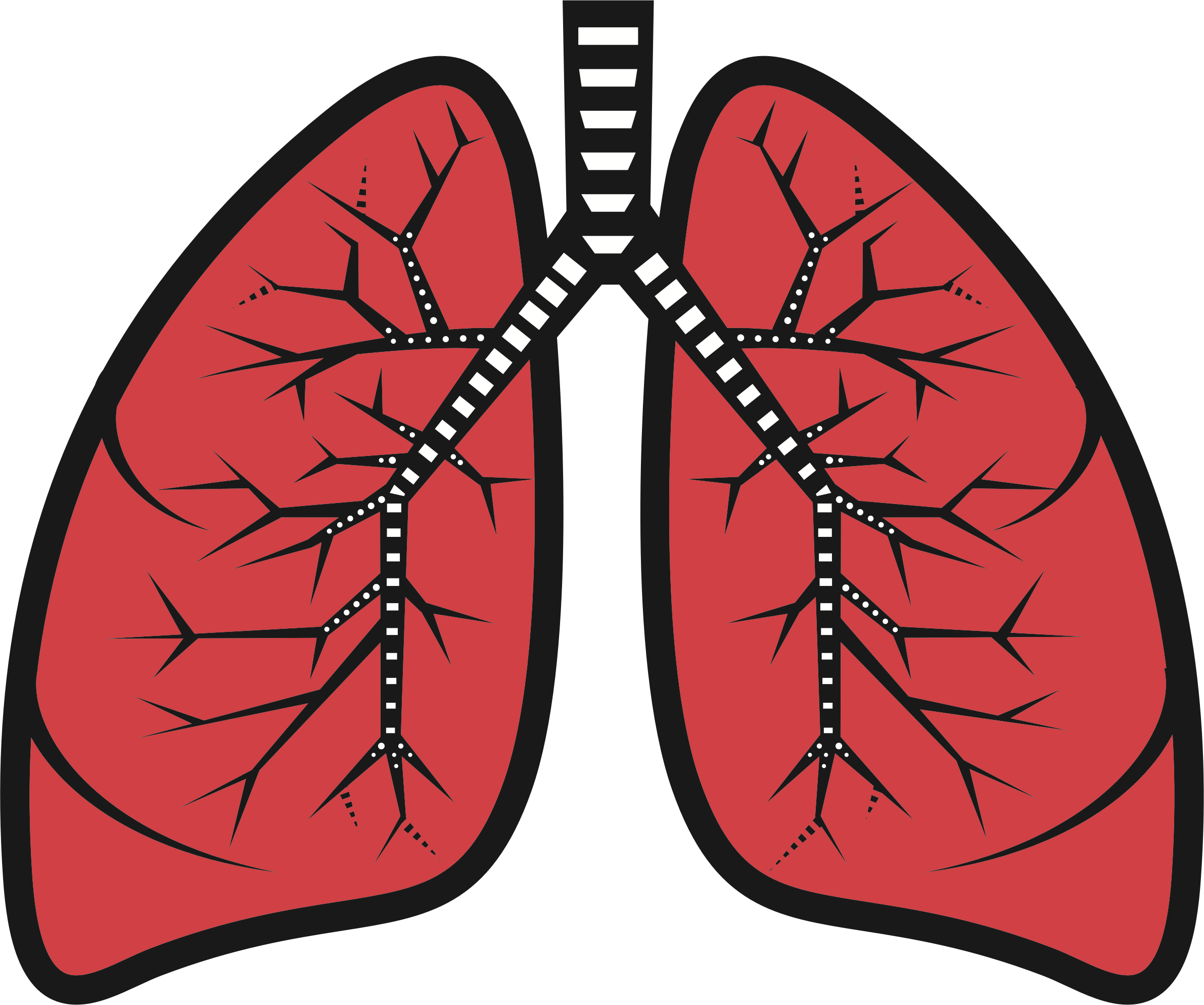 Lungs PNG