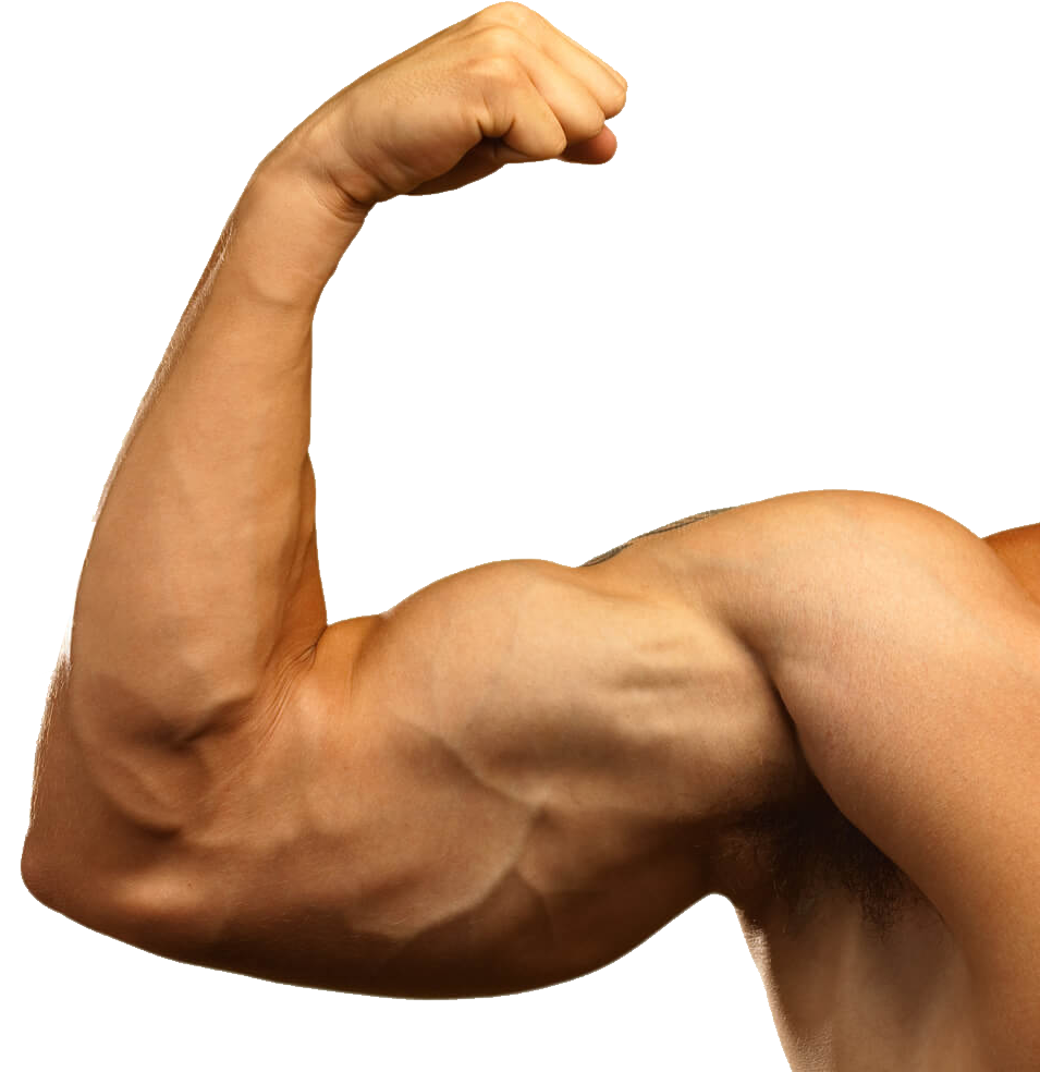 Muscle Hand PNG