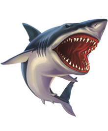 Shark PNG