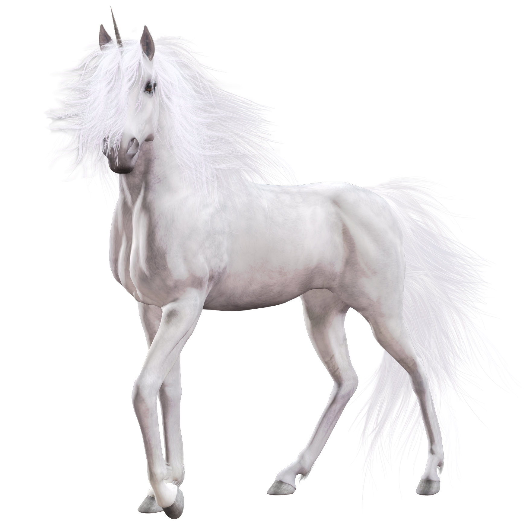 Unicorn PNG